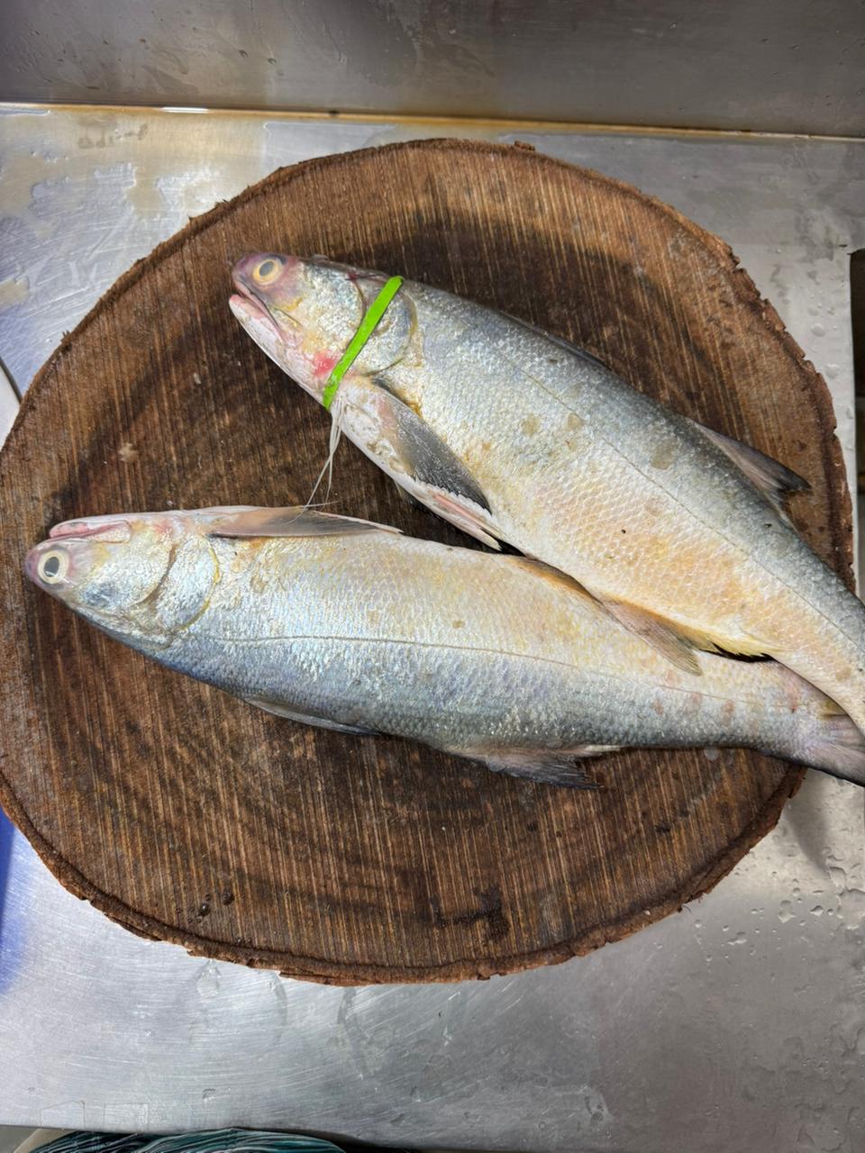 The Fishy Mart | Fresh Fish Delivery Mumbai